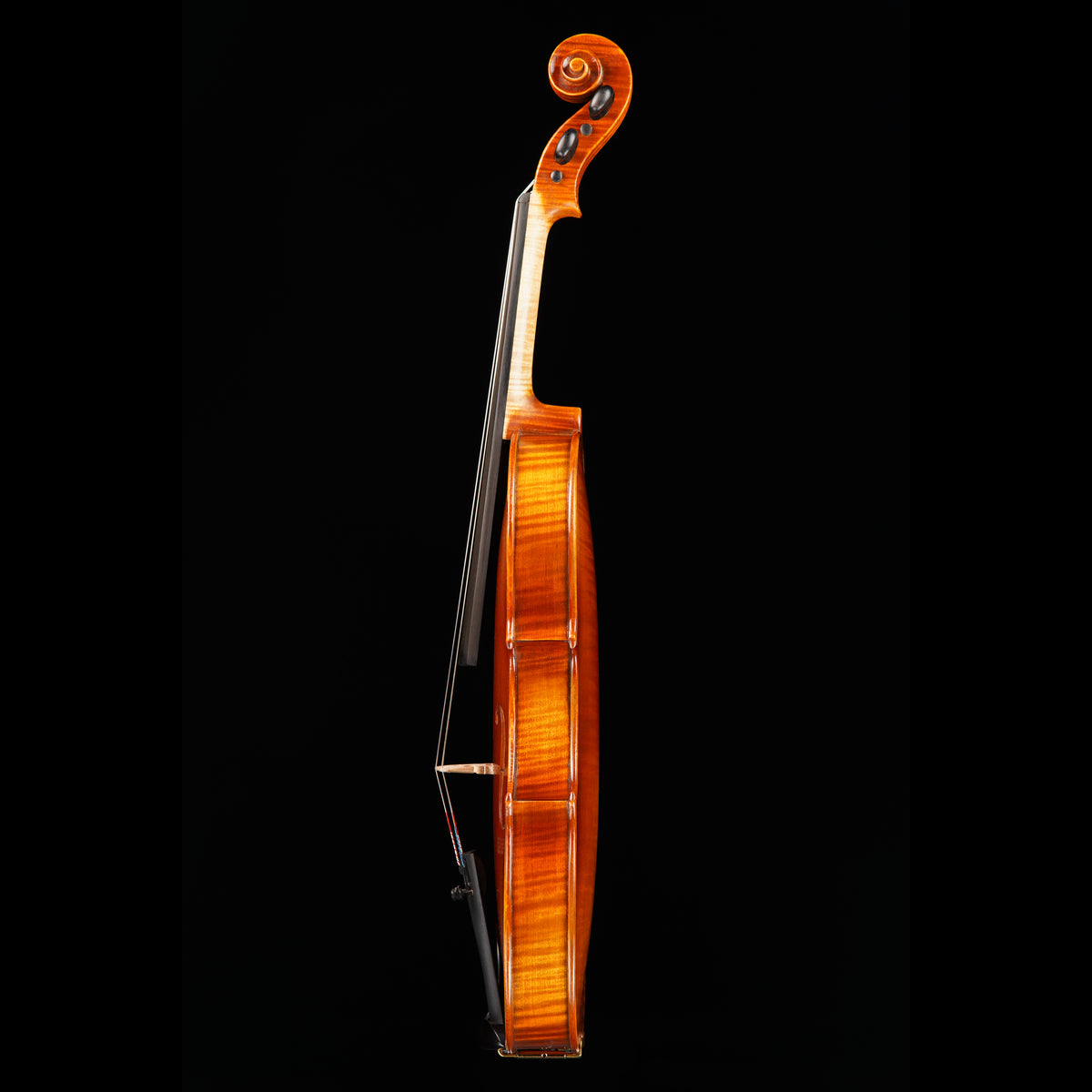 GV-505 Violin – Sinoman Music Ltd.
